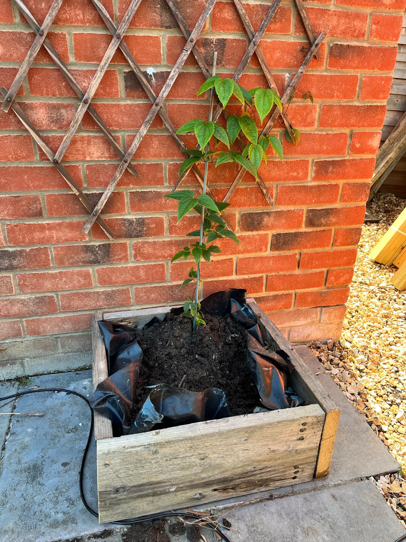 Scaffolding board planter – Cool Upcycled